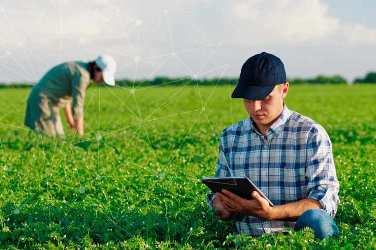 Os Benefícios da Internet Rural - VT Sávio Serviços